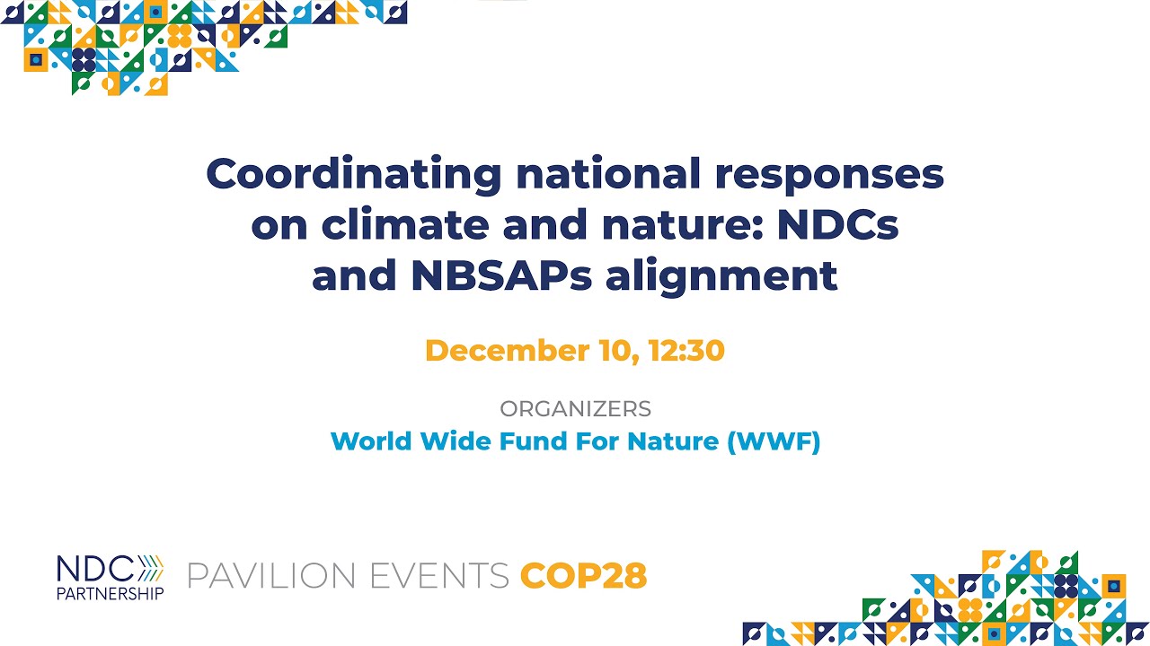 COP28: Coordinating National Responses on Climate and Nature - NDCs and ...