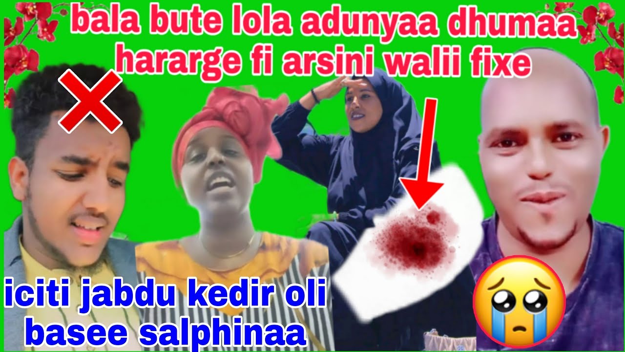🛑bala bute lola adunyaa dhumaa hararge fi arsini walii fixe @kakuutube ...