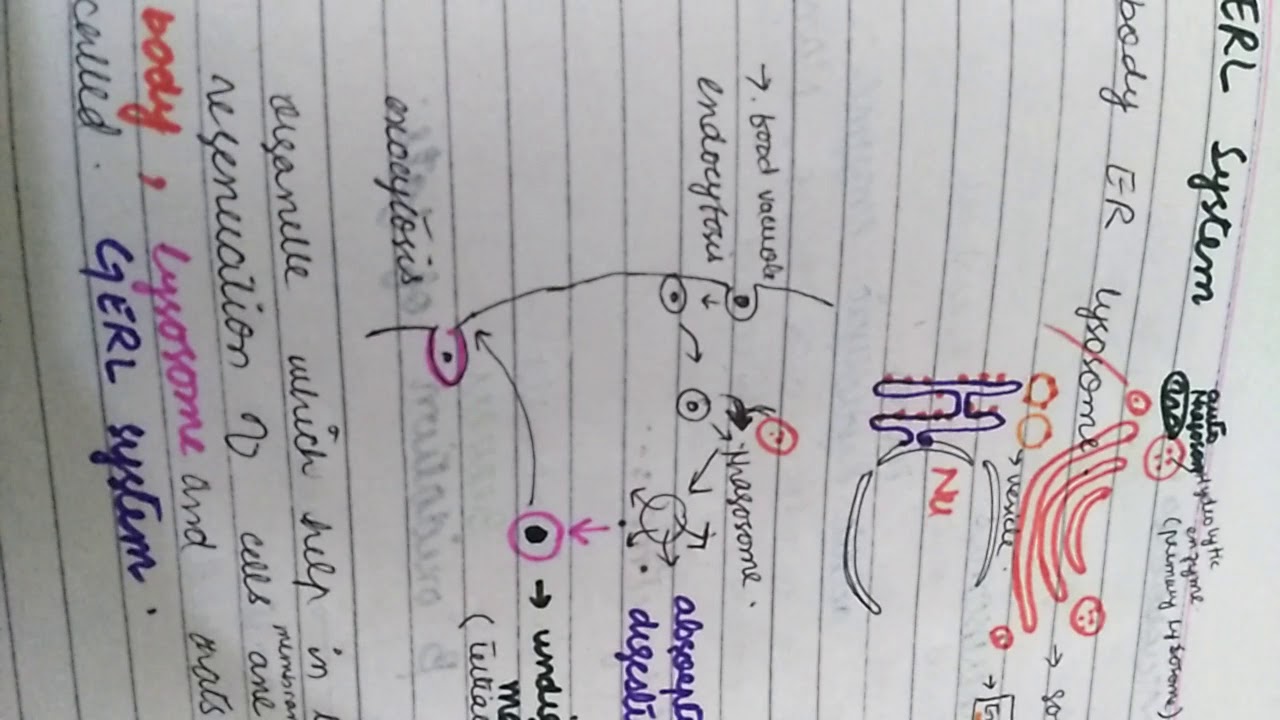 #GERL system🔥.... - YouTube