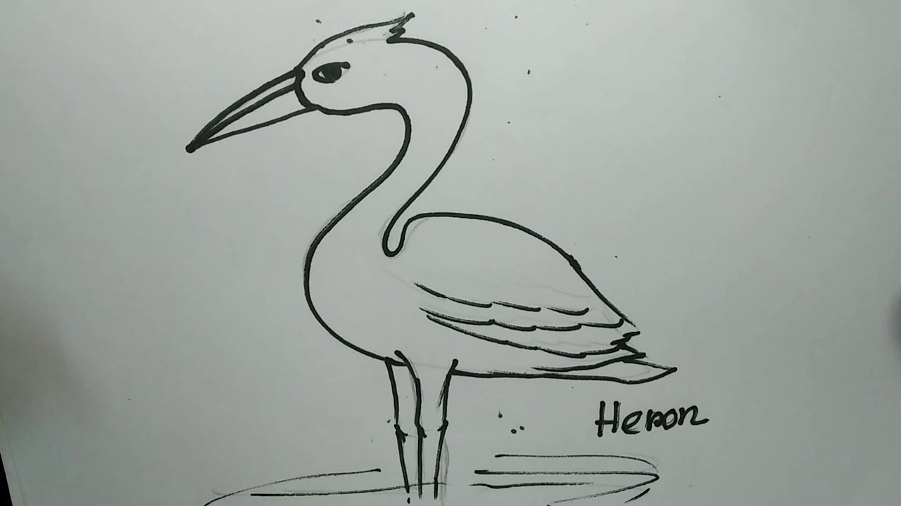 How to draw a heron - YouTube