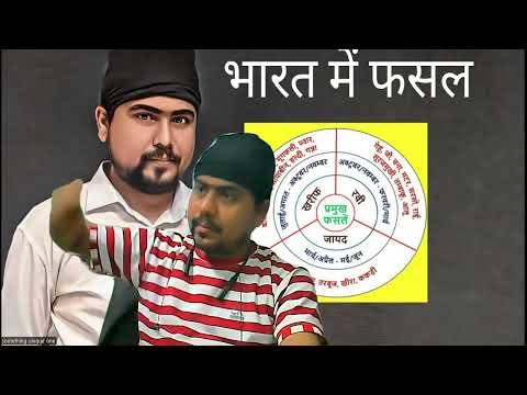 CROPS IN INDIA | RABI,KHARIF, JAYAD | NCERT | CBSE - YouTube