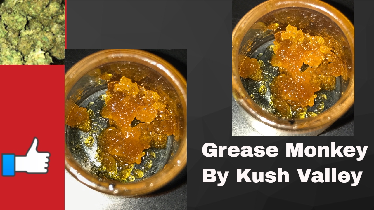 Recreational Cannabis Review of Grease Monkey Concentrate By Kush ...