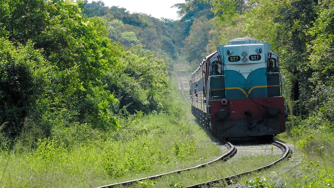 Amazing View Forest Railroad Crossing - LOUD Train HONK : Level ...