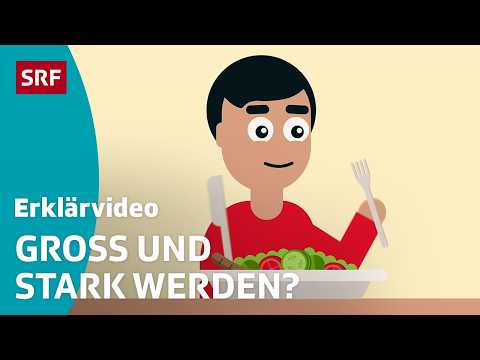 Warum ist Essen so wichtig? – einfach erklärt | Kindervideos | SRF Kids
