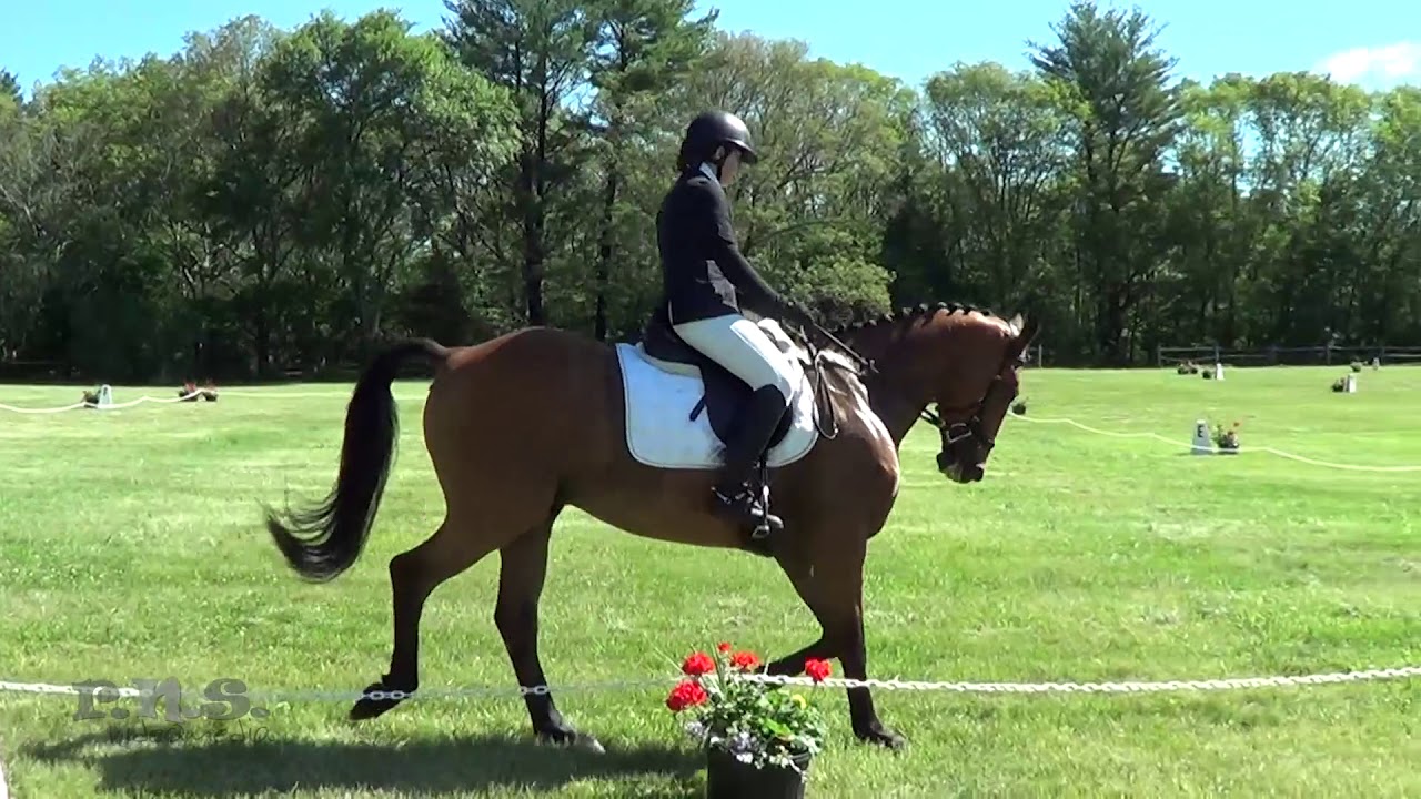 DR - Rachel Hoar & Lanzz at Groton House Farms Horse Trials 2018 - YouTube