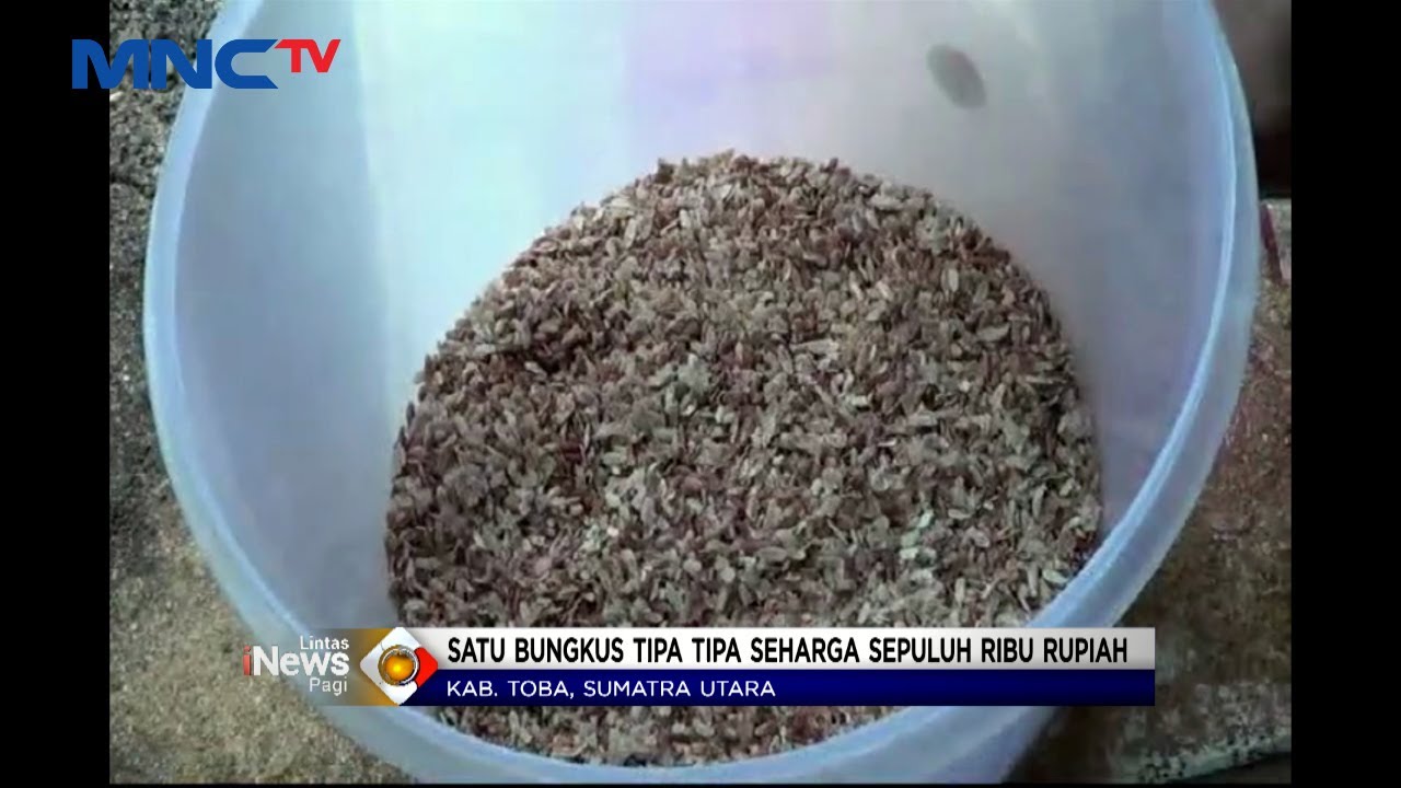 Tipa-Tipa, 'Sereal' Khas Batak Toba yang Lezat dan Unik #LIP 10/10 ...