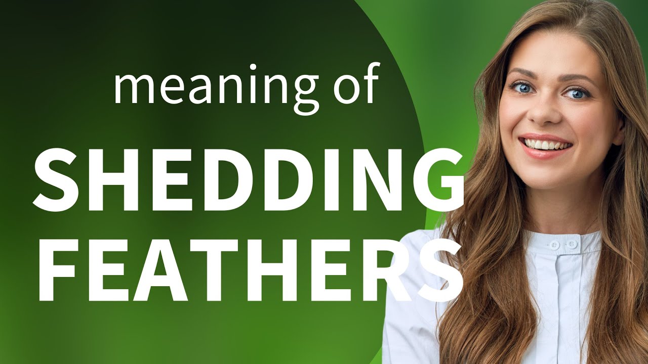 Shedding Feathers: Unfolding the Idiomatic Expressions - YouTube