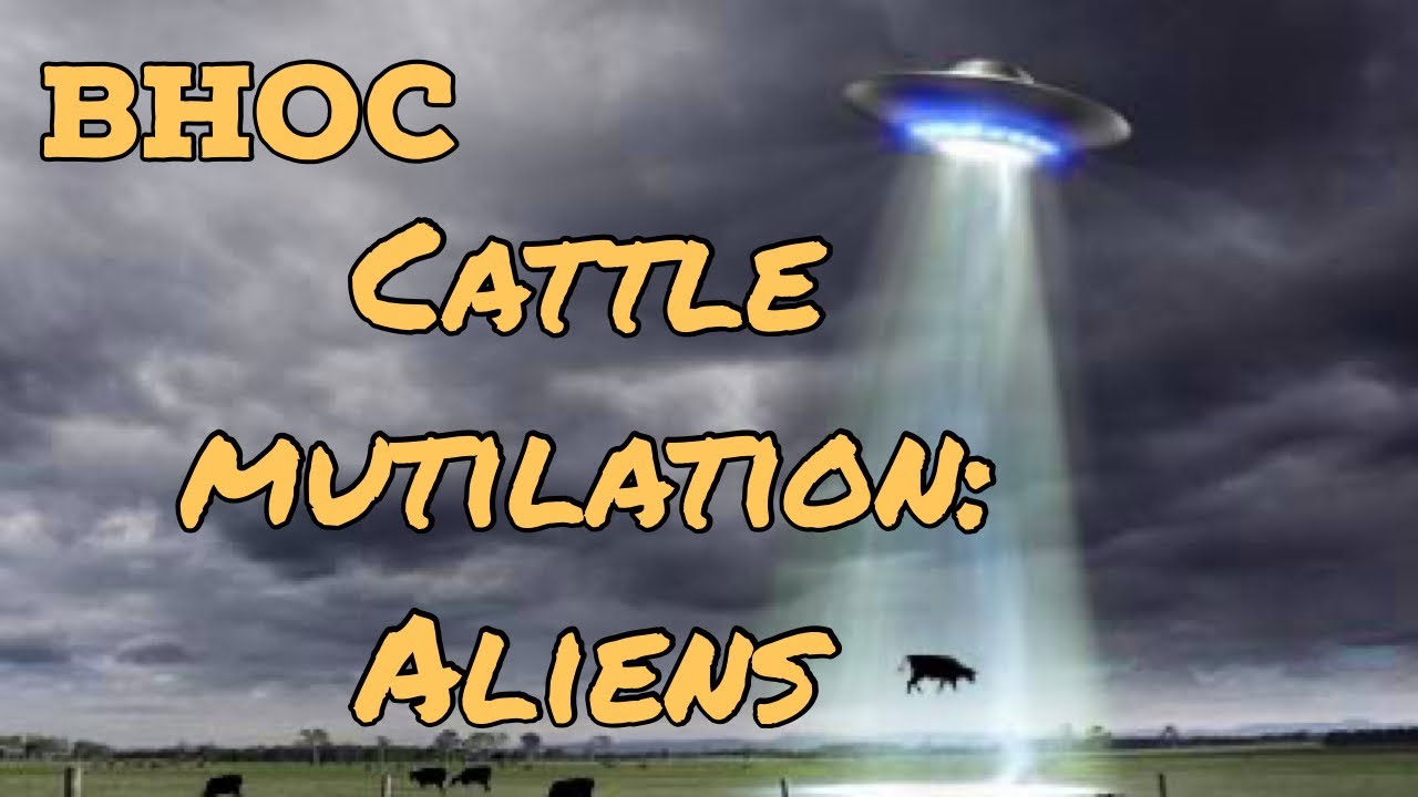 Cattle Mutilations: Aliens - YouTube