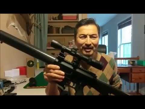 DPMS LR 338 AR-10 with Burris scope Review and shooting (sub-moa ...
