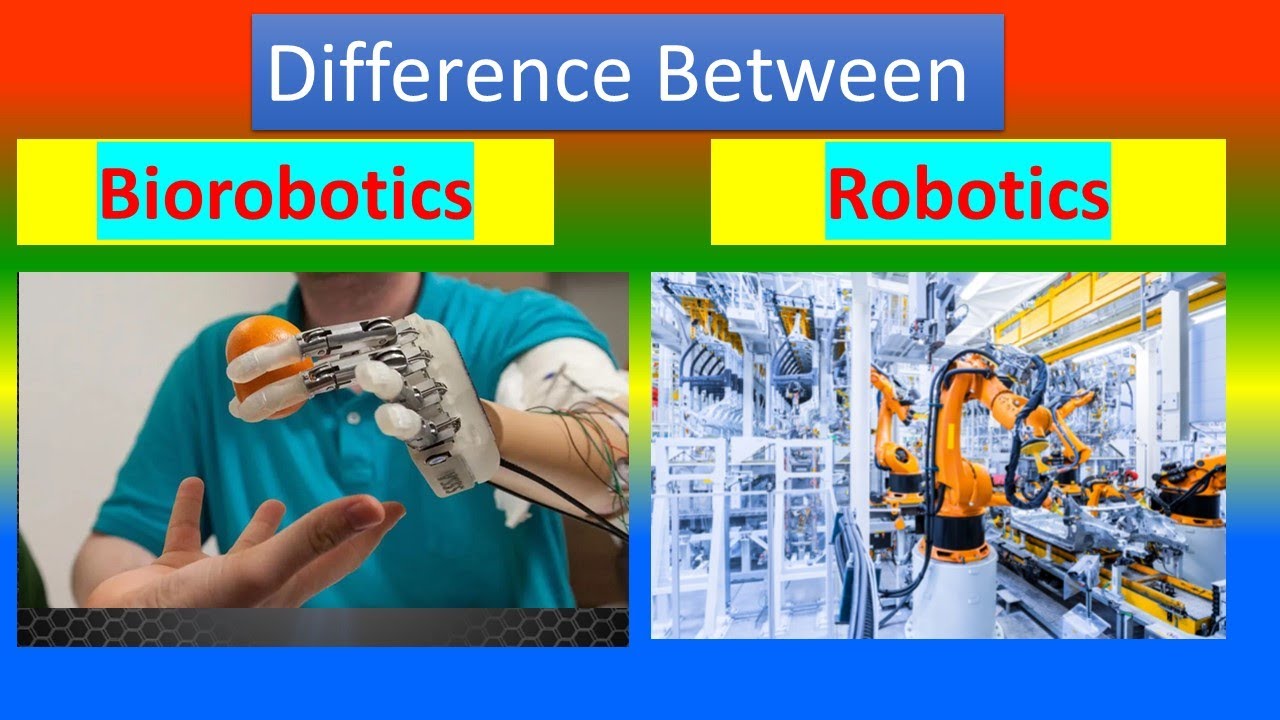 Difference between Biorobotics and Robotics - YouTube