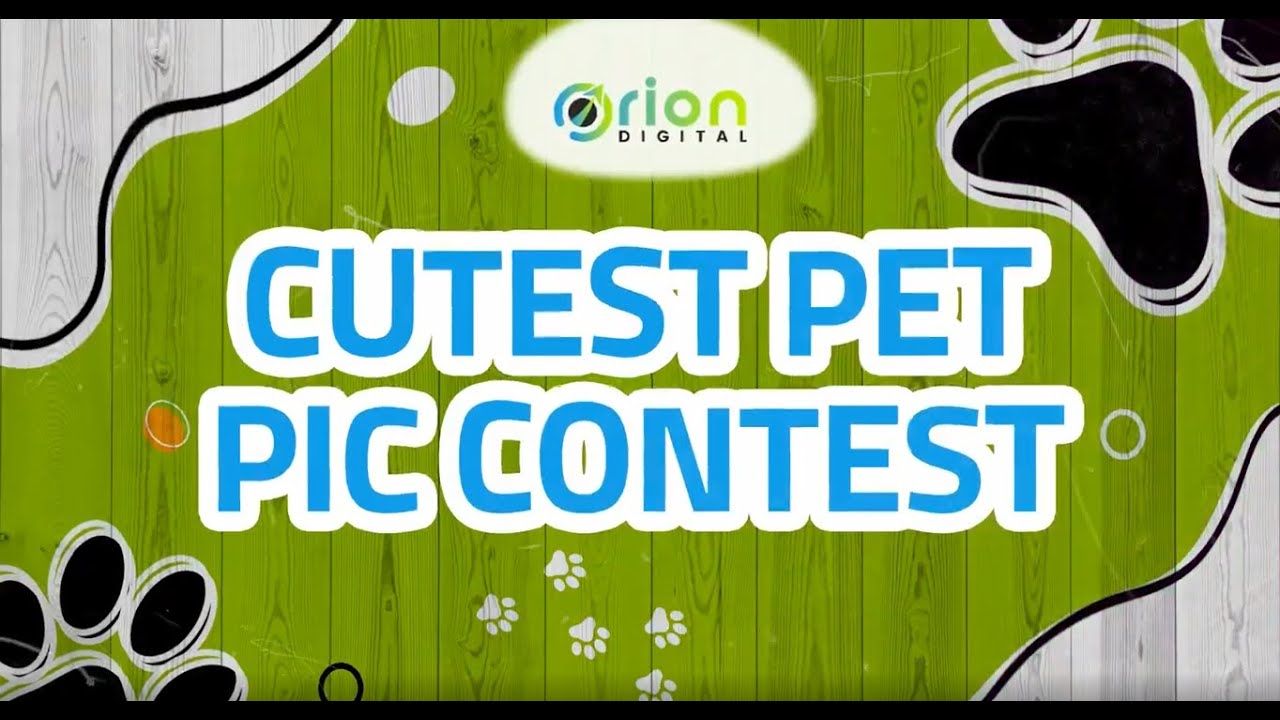 🐾 Cutest Pet Pic Contest: Orion's way of celebrating four-legged love!🏆 ...