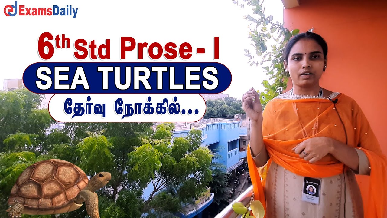SEA TURTLES - 6th Std English Prose | Term 1 Unit 1 Prose | Bookback ...