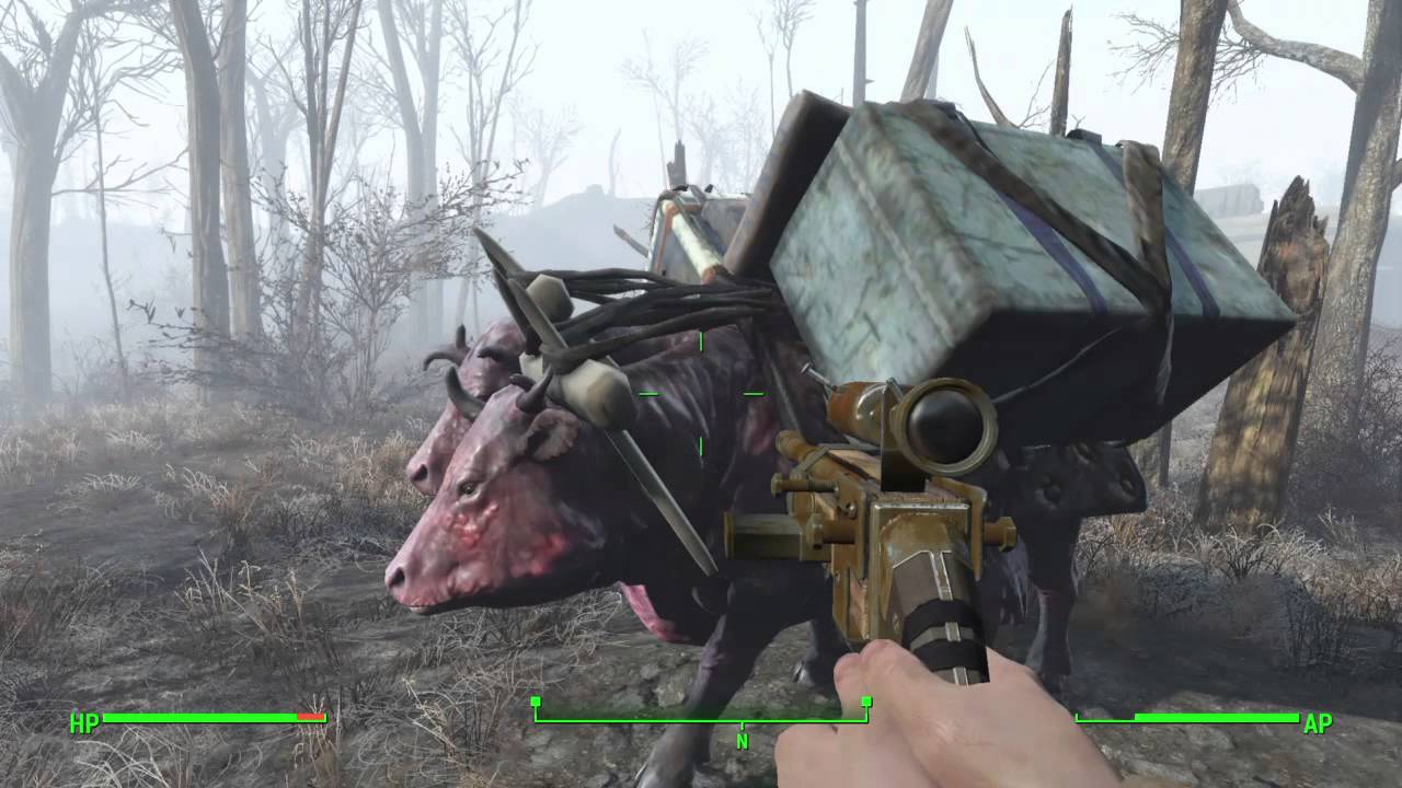 Fallout 4, A Cow Named Idiot?? - YouTube
