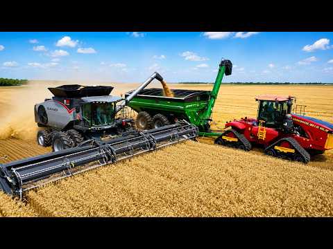 Gleaner S98 Combines in Action | Harvesting Wheat Near Preston, Kansas