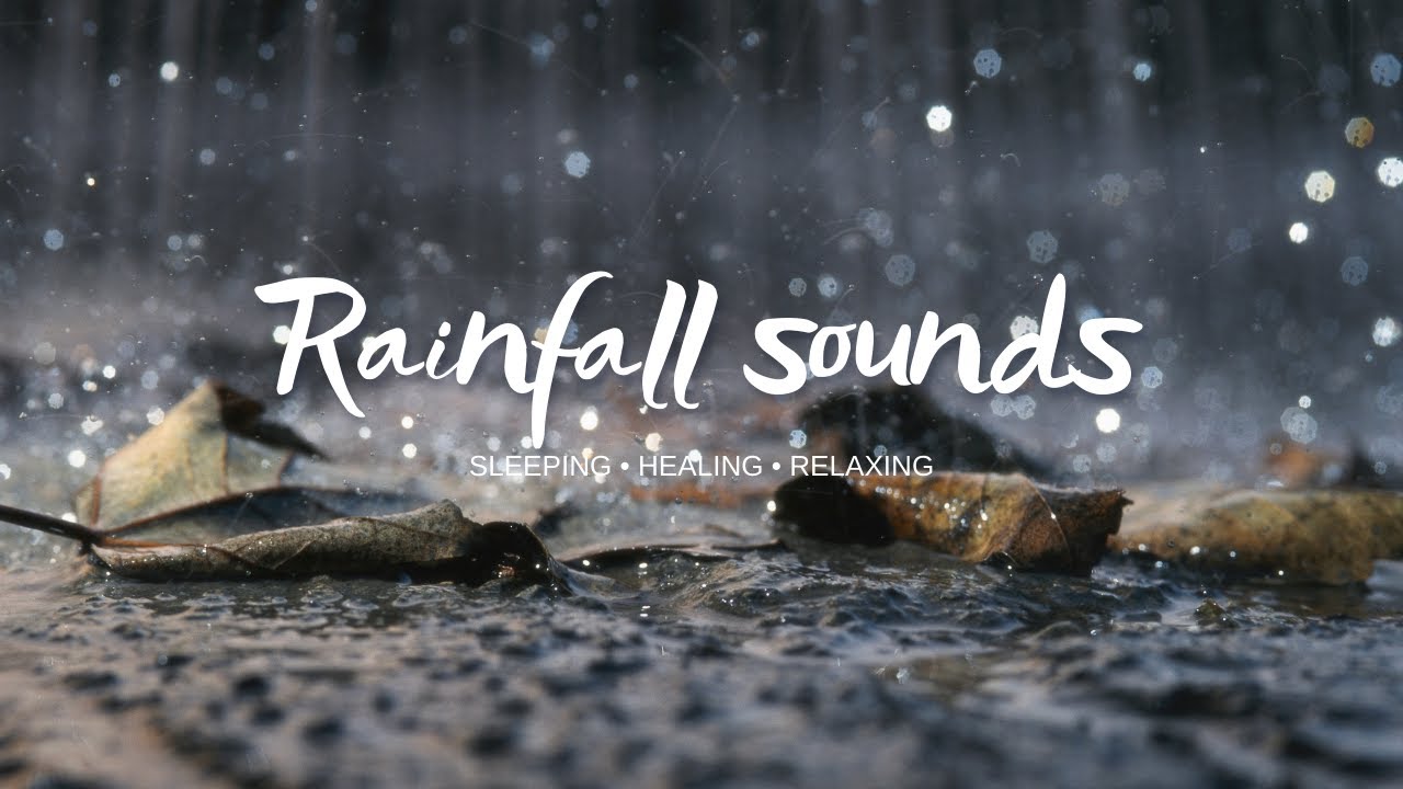 5 hours Rain sound for sleep and relaxation | sounds of rain falling ...