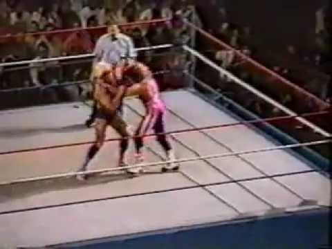 Ric Flair vs. Bret Hart - YouTube