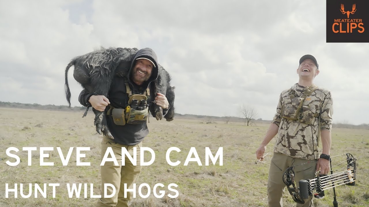 Steve Hunts Wild Hogs with Cam Hanes - YouTube