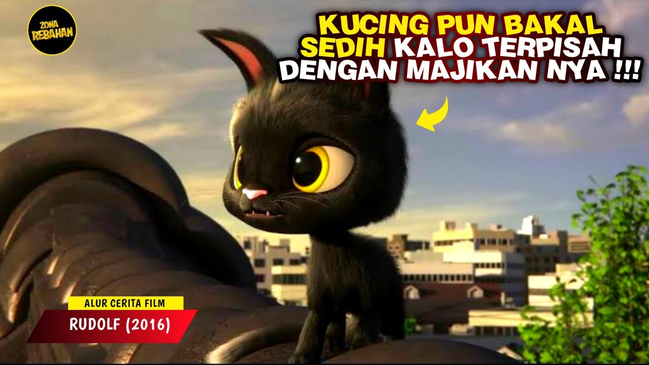 Animasi Kucing Hitam