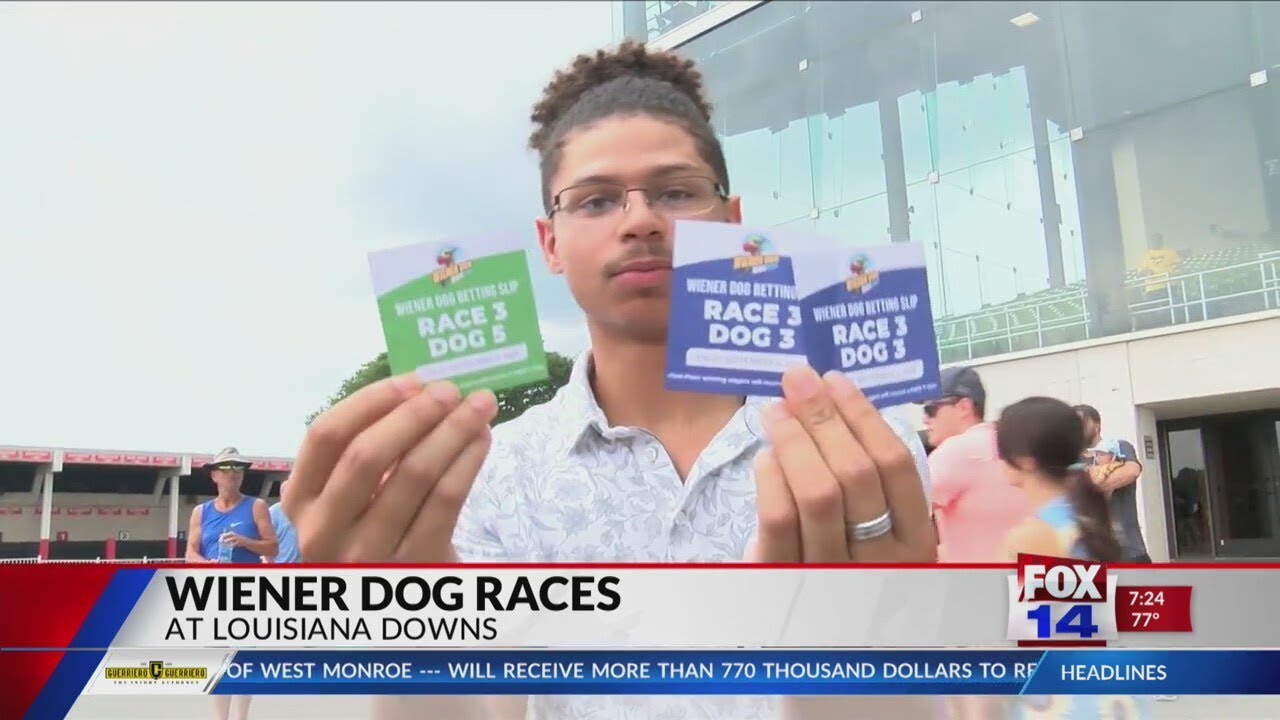 Fox 14 Your Morning News: Louisiana Downs Hosted Labor Day Wiener Dog ...