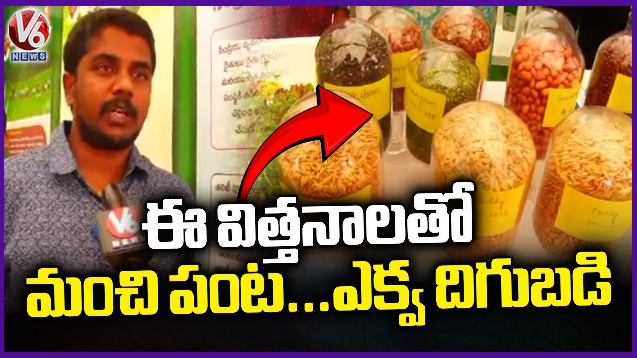 Organic Seeds: Farmers Gets Good Crop and More Yield | Rythu Panduga ...