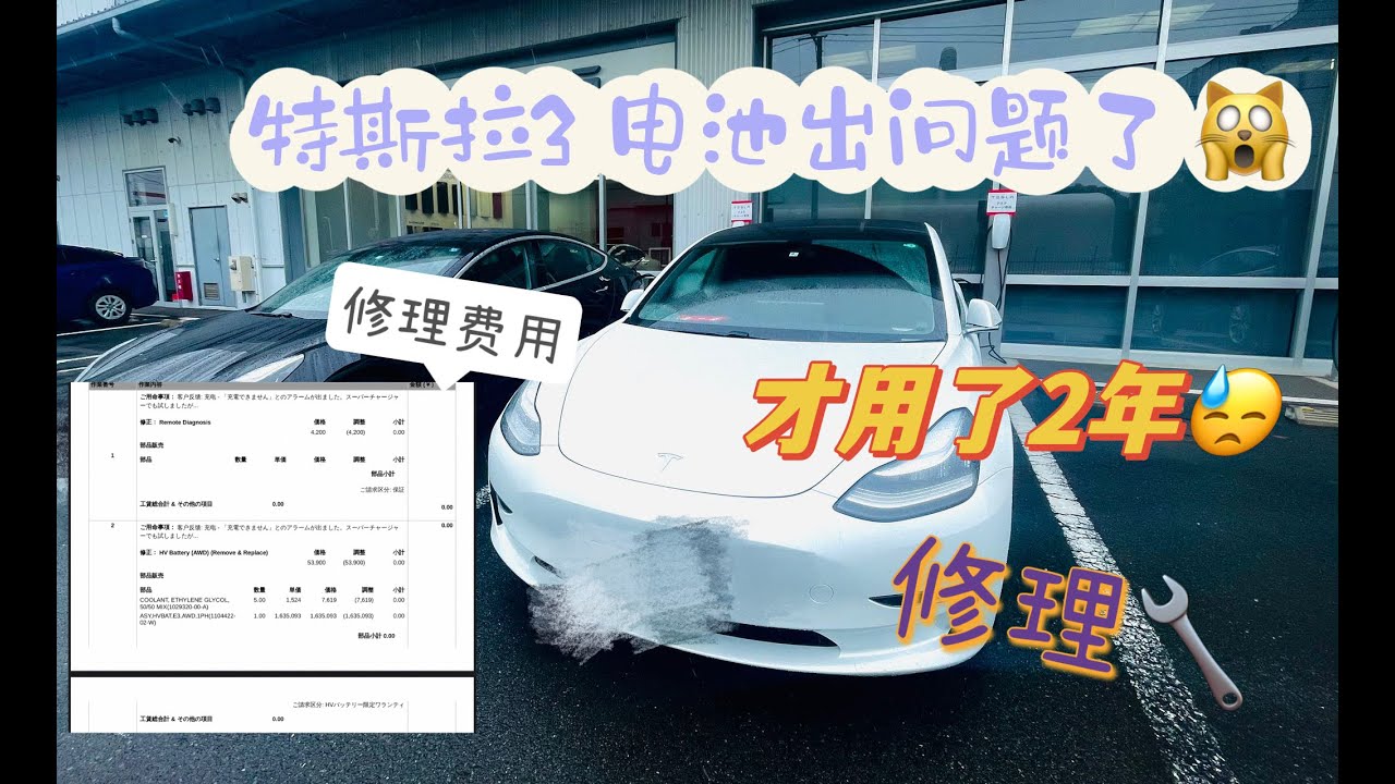 tesla3 电池出问题了！才用了2年就出的罕见事例。。tesla battery problem - YouTube