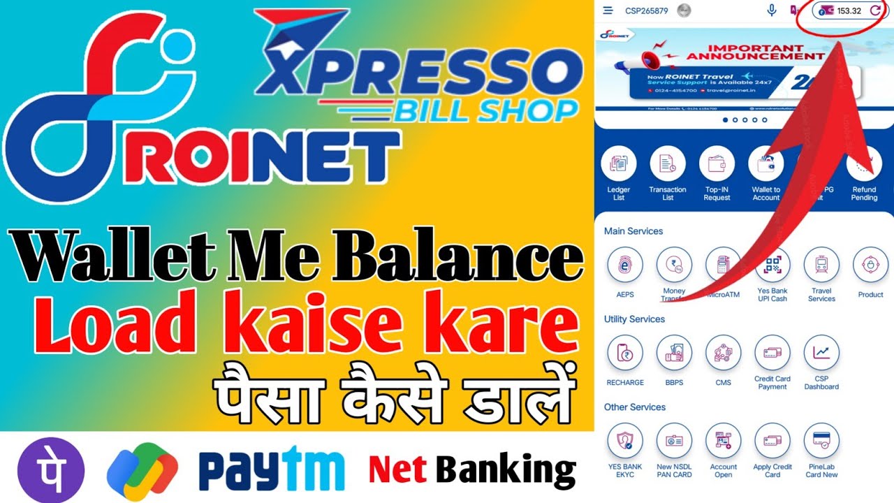 ROINET Wallet Me Balance Add Load kaise kare UPI & Net Banking se ...