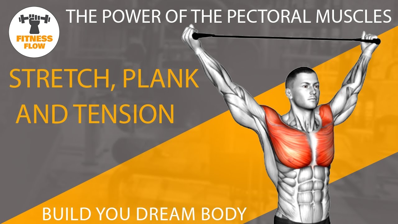 💪 The power of the pectoral: muscles stretch, plank and tension - YouTube