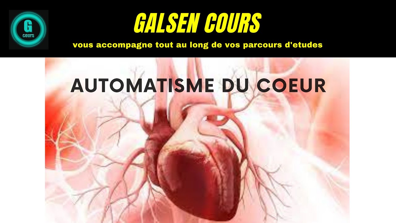 AUTOMATISME DU COEUR - YouTube