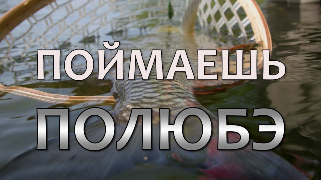 СПОРИМ я научу тебя ловить ГОЛАВЛЯ за 10 минут Youtube