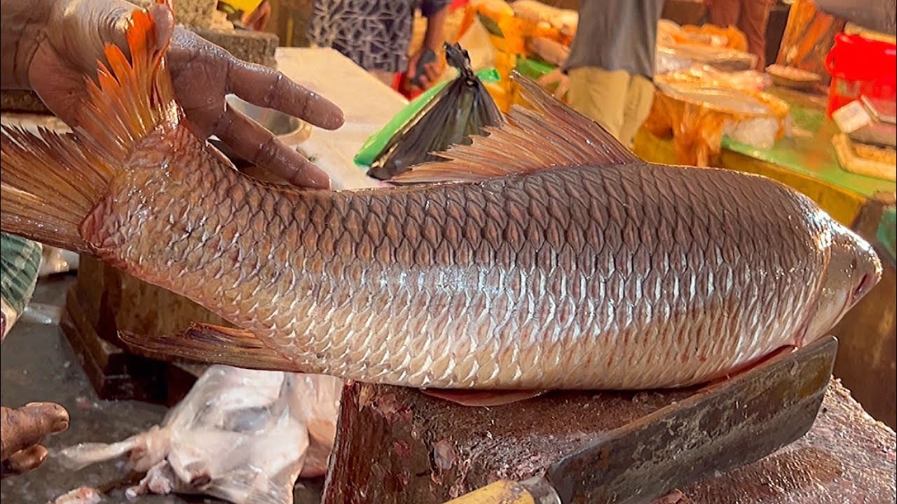 Big Rohu Fish Cutting Skills In Fish Market | Fish Cutting Skills - YouTube