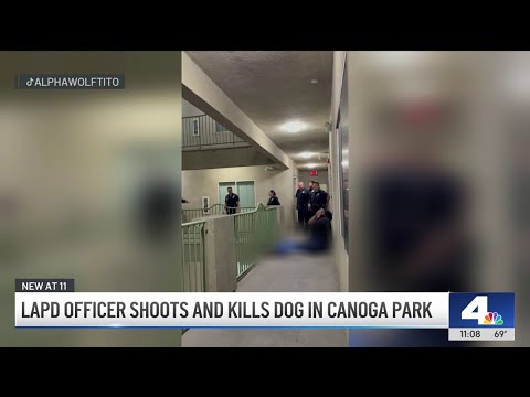 Knicks celebration ends with dog shot, killed by police in Canoga Park: LAPD