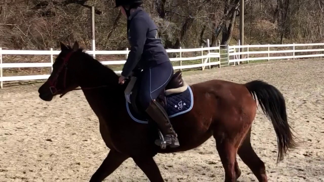 Jessica Weisman Riding Video - YouTube