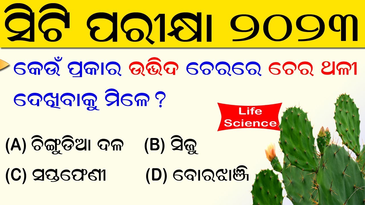 CT Exam Preparation 2023 || CT Question Paper || CT Syllabus || CT ...