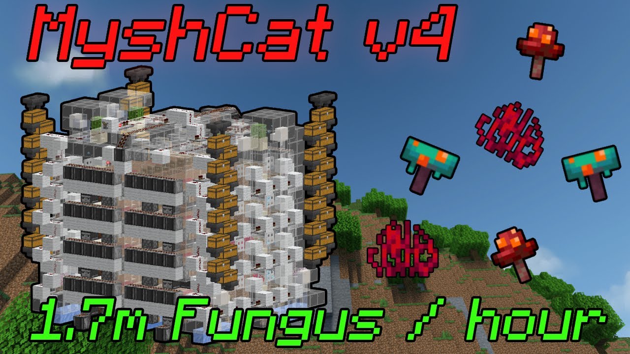 MyshCat v4 Fungus - The BEST & FASTEST Fungus Farm for DonutSMP – 1.7M ...