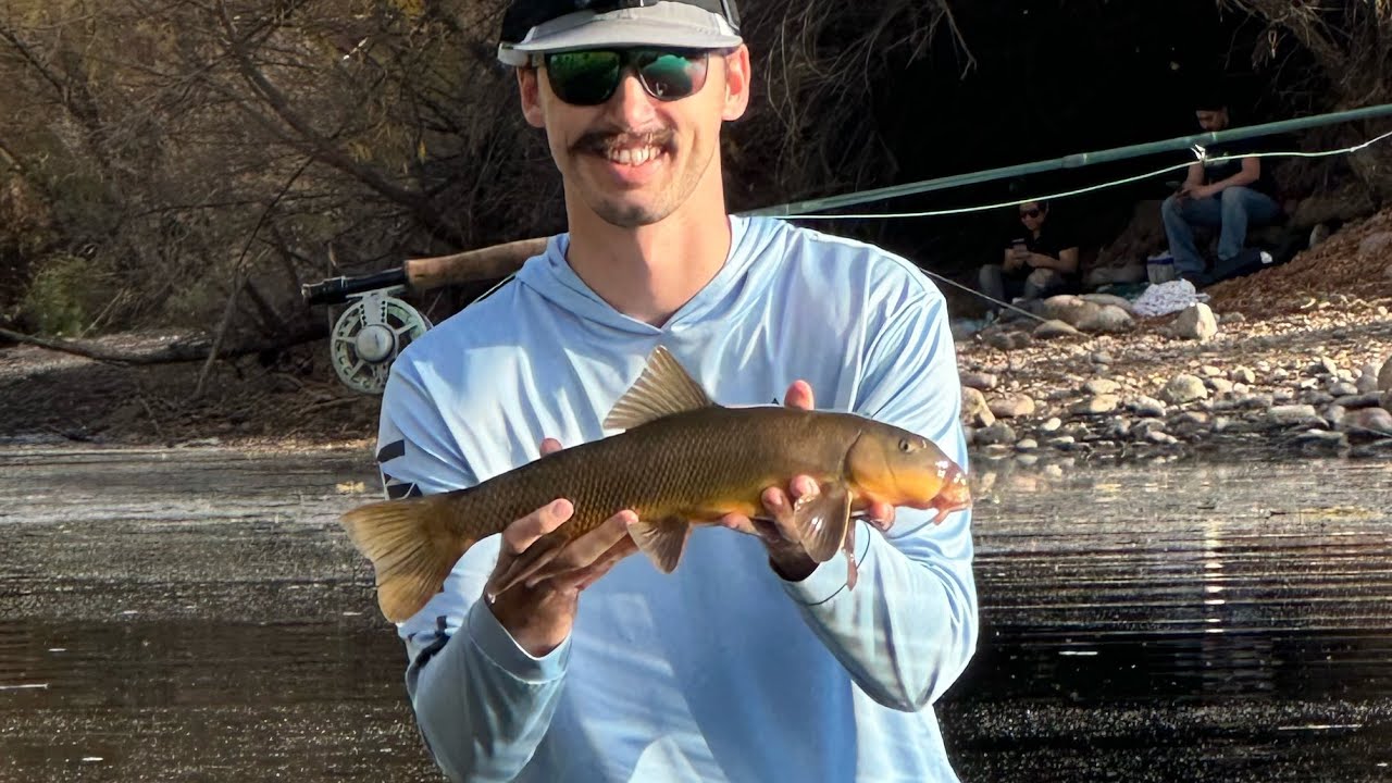 Sonoran Sucker Fly Fishing AZ - YouTube
