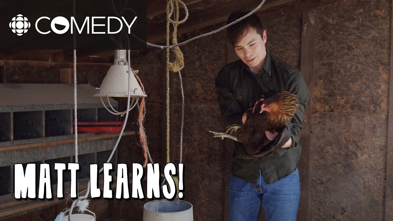 Matt Learns: How to roast a chicken - YouTube