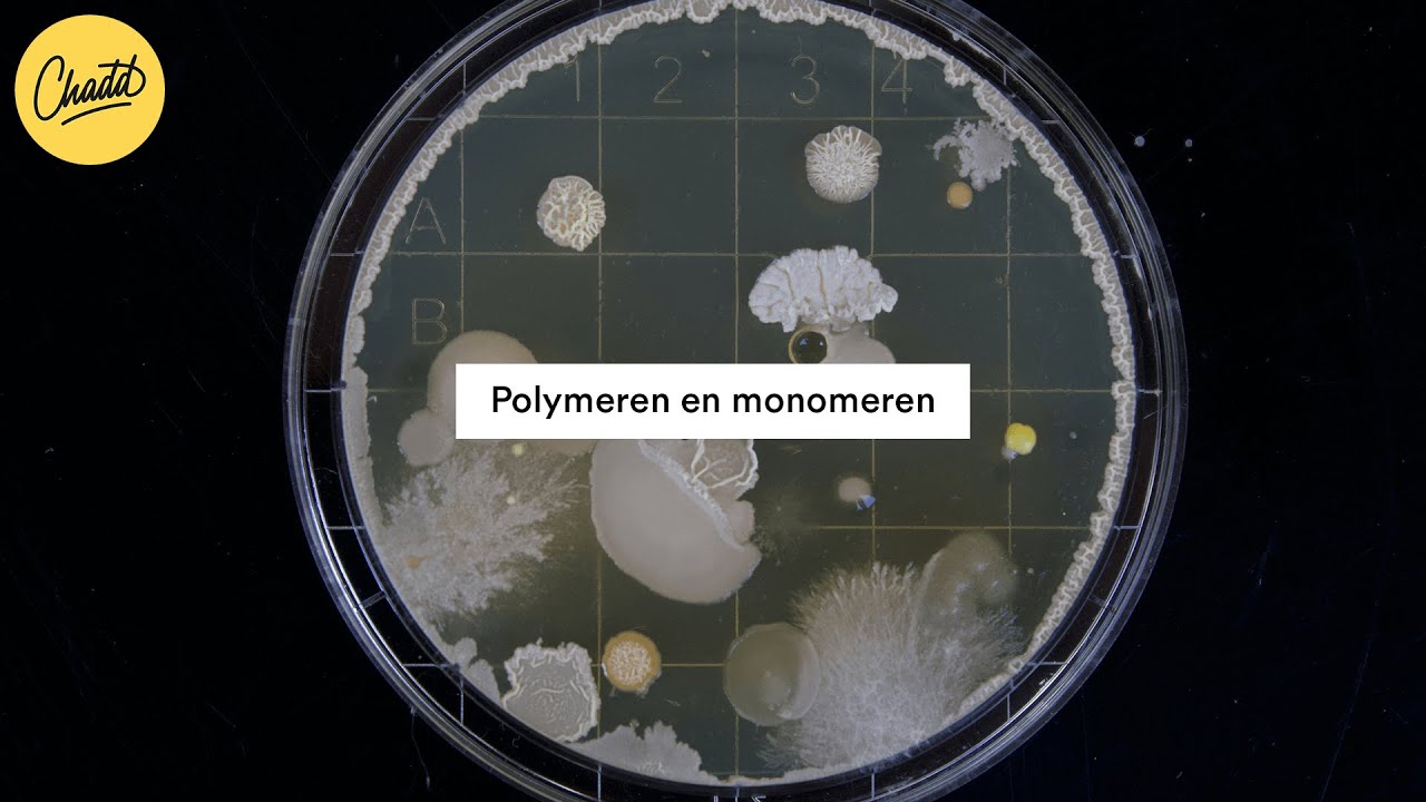 Polymeren en monomeren - Mr. Chadd Academy - YouTube
