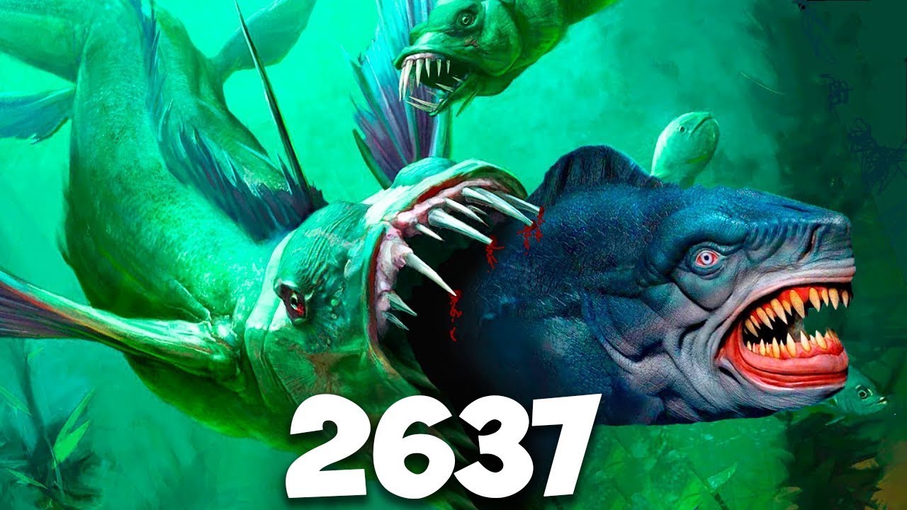 Evolution of BLOOP / Evolution Now - YouTube