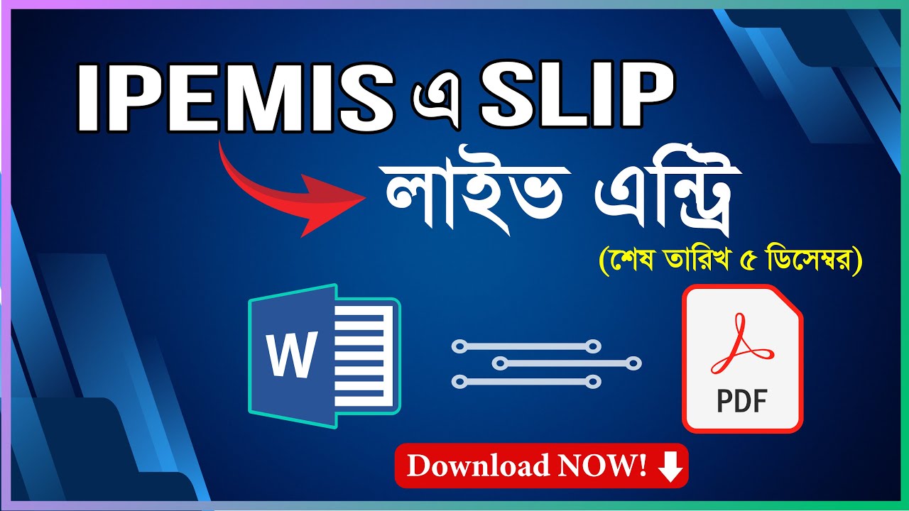 IPEMIS SLIP লাইভ এন্ট্রি || Word & PDF ডাউনলোড || (সর্বশেষ আপডেট 2024) - YouTube