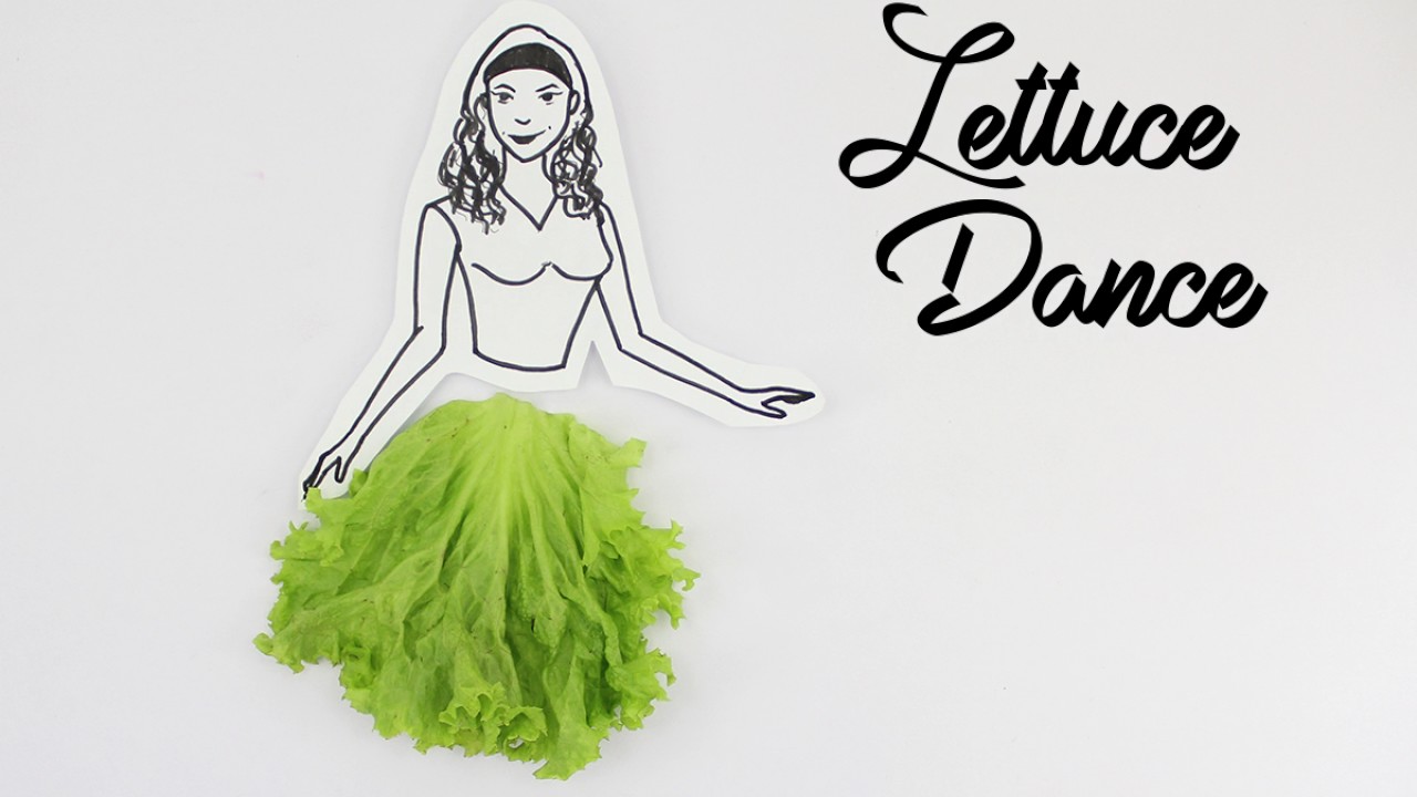 Lettuce Dance - Stop Motion - YouTube