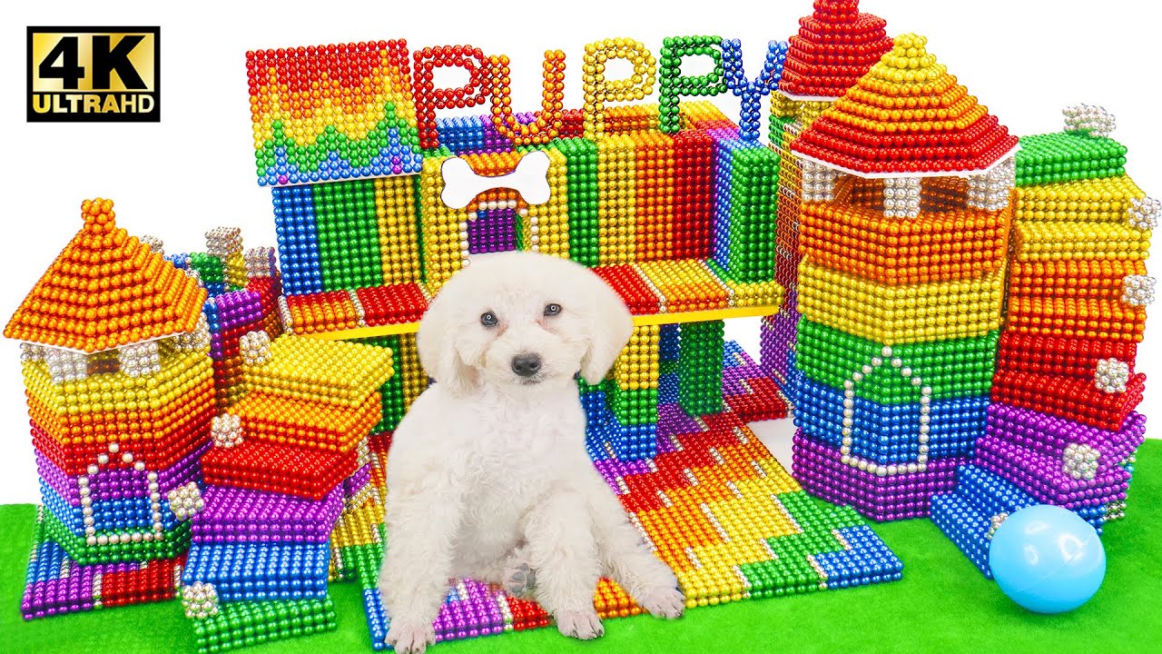 DIY - Build Mega Castle Puppy Dog House with Magnetic Balls (Satisfying ...