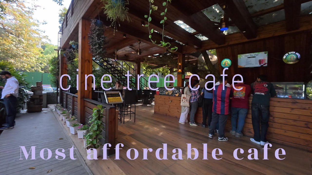 Delhi best affordable cafe || cine tree cafe || Food places || video by ...