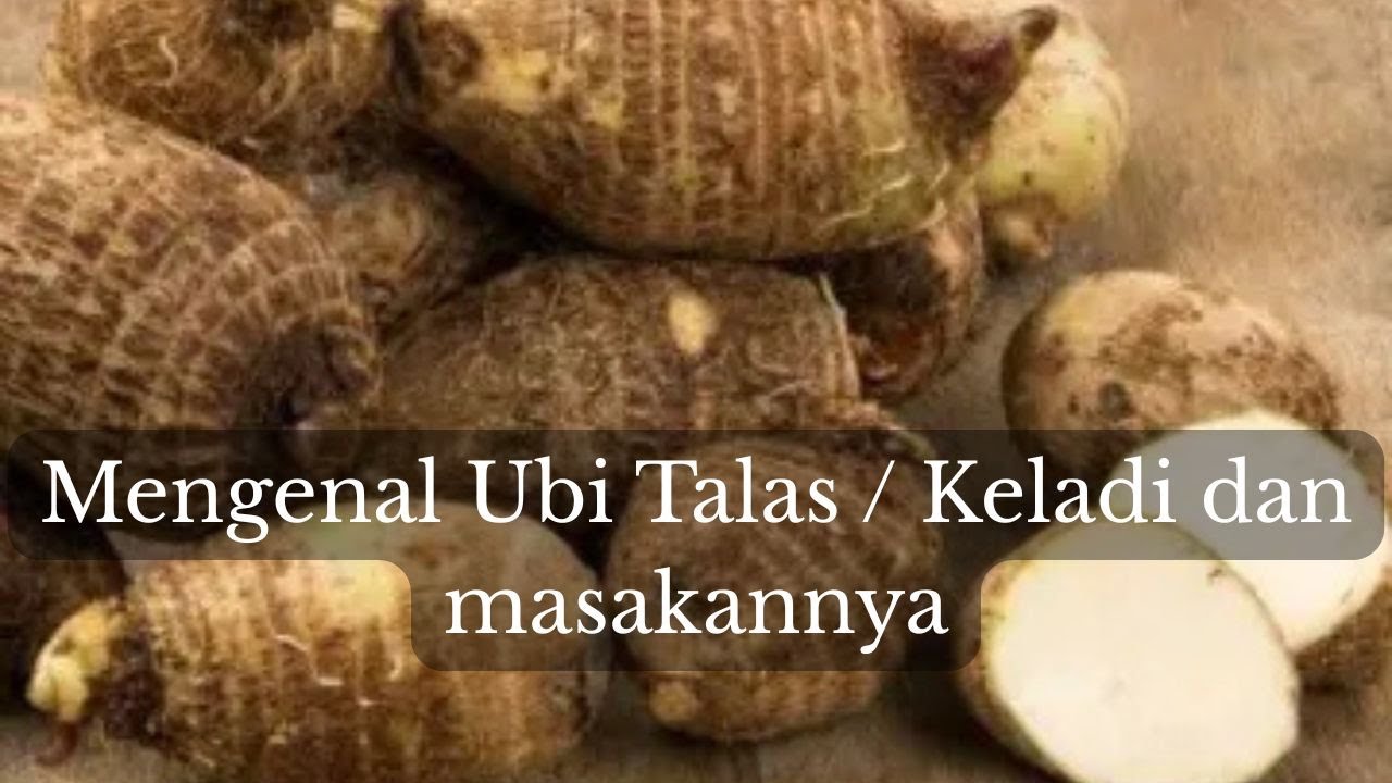 mengenal ubi talas / keladi dan masakannya@simplehomekitchen8 - YouTube