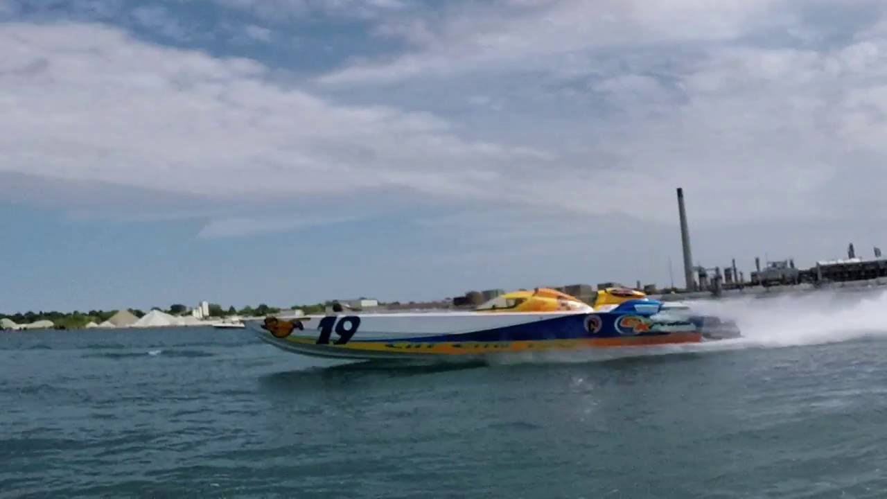 Cat Can Do Fly By - YouTube