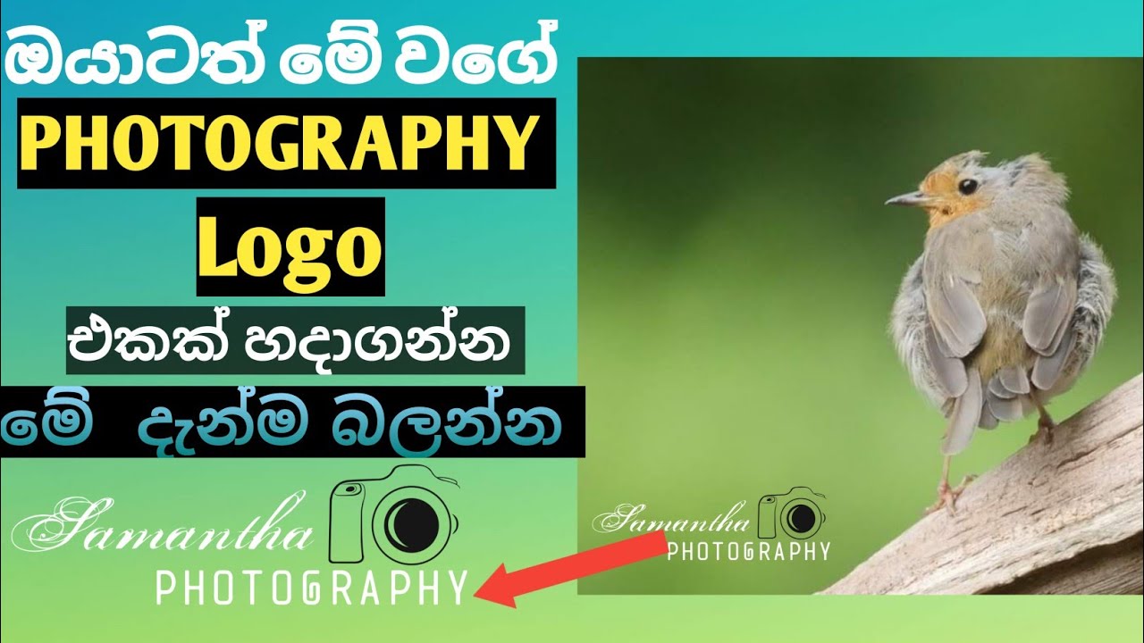 How to make stylish signature Photography Logo | Logo Design in mobile ...