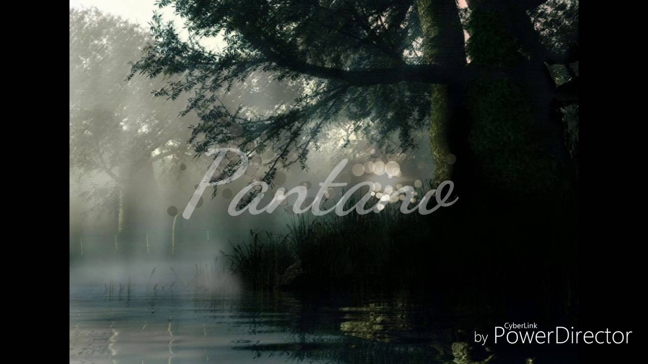 Mariñe Ft Miguel Ábrica Pantano Youtube