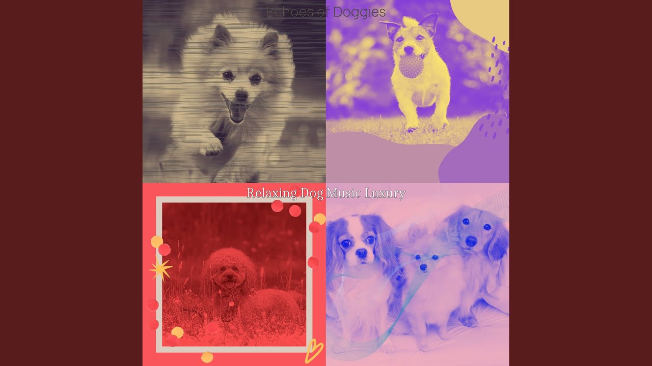 Stellar Dogs - YouTube