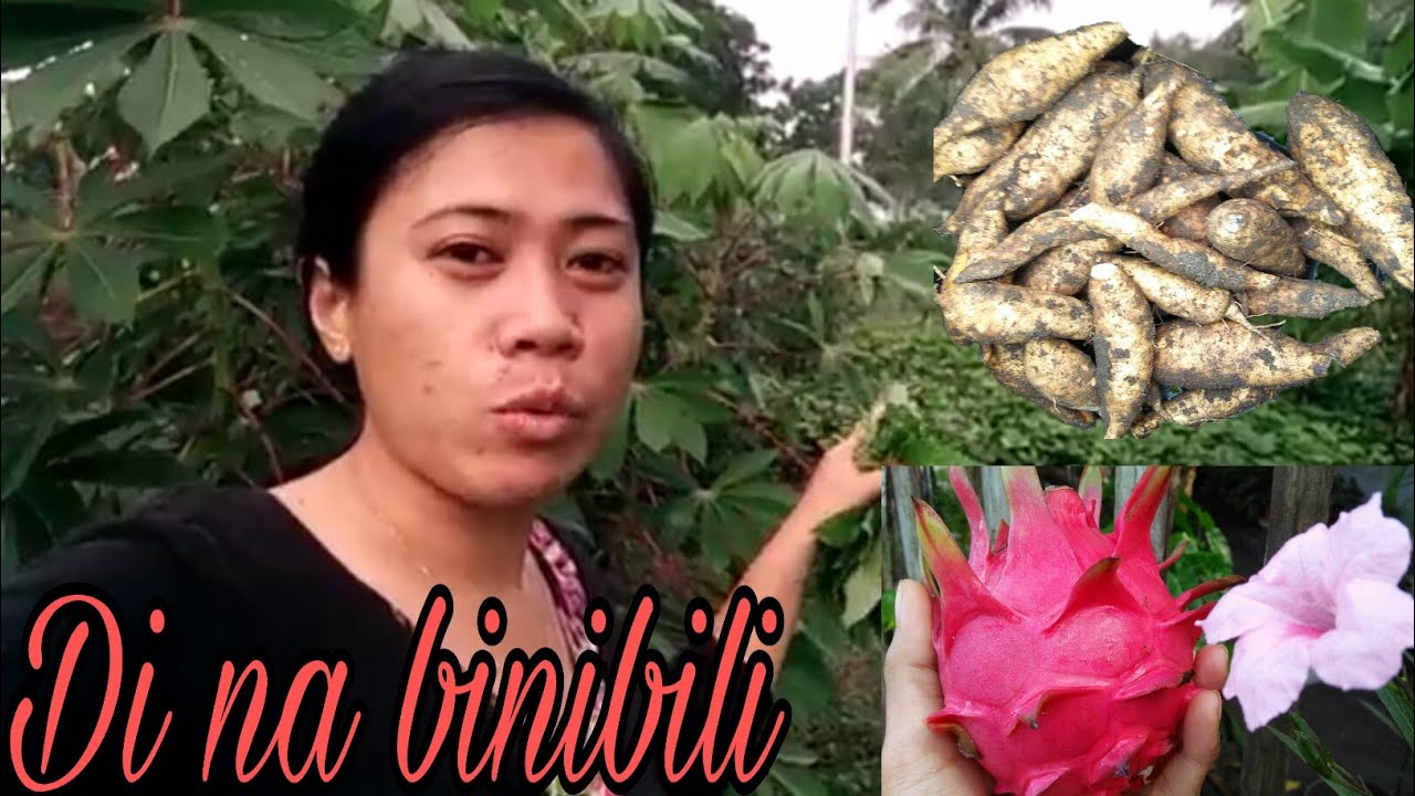 MATITIKMAN NA DIN NATIN ANG BUNGA | GERLY DENOSTA - YouTube