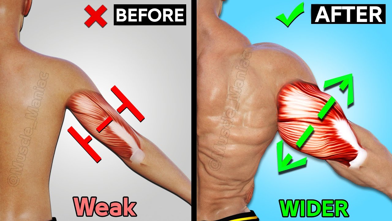 How To Build Your Triceps workout Fast (6 Effective Exercises) - YouTube