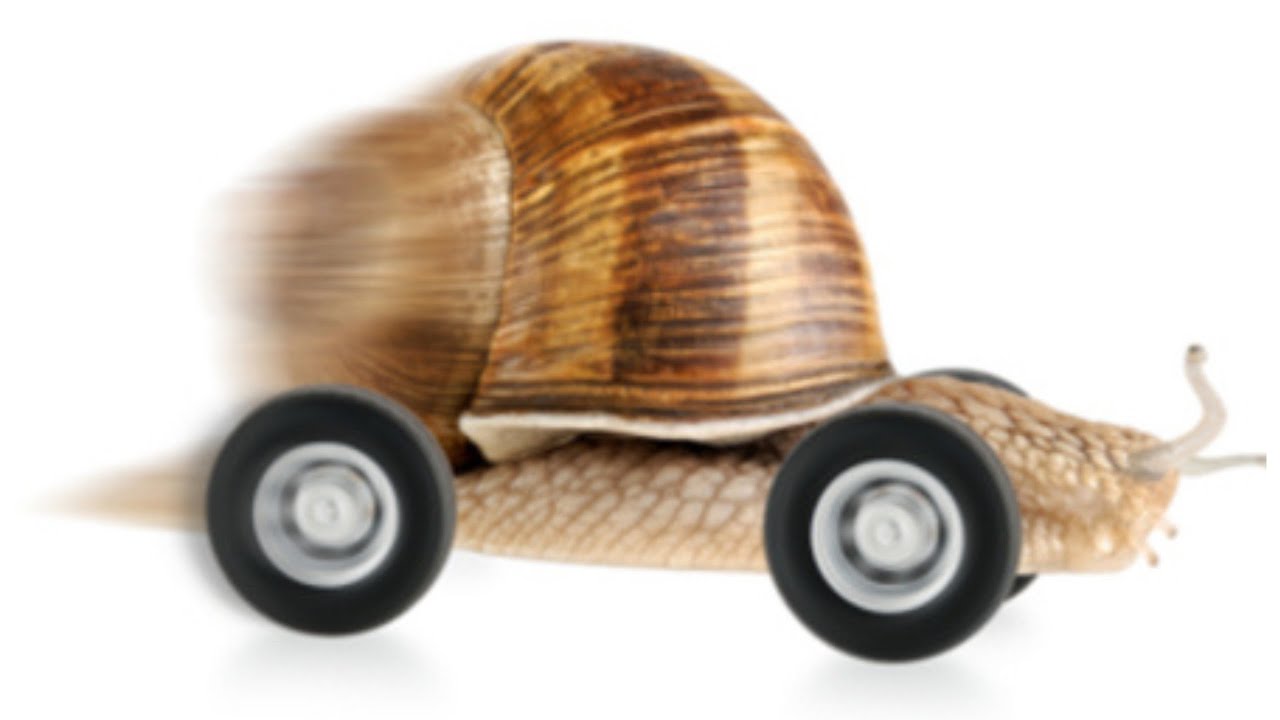 SNAIL CAR - YouTube